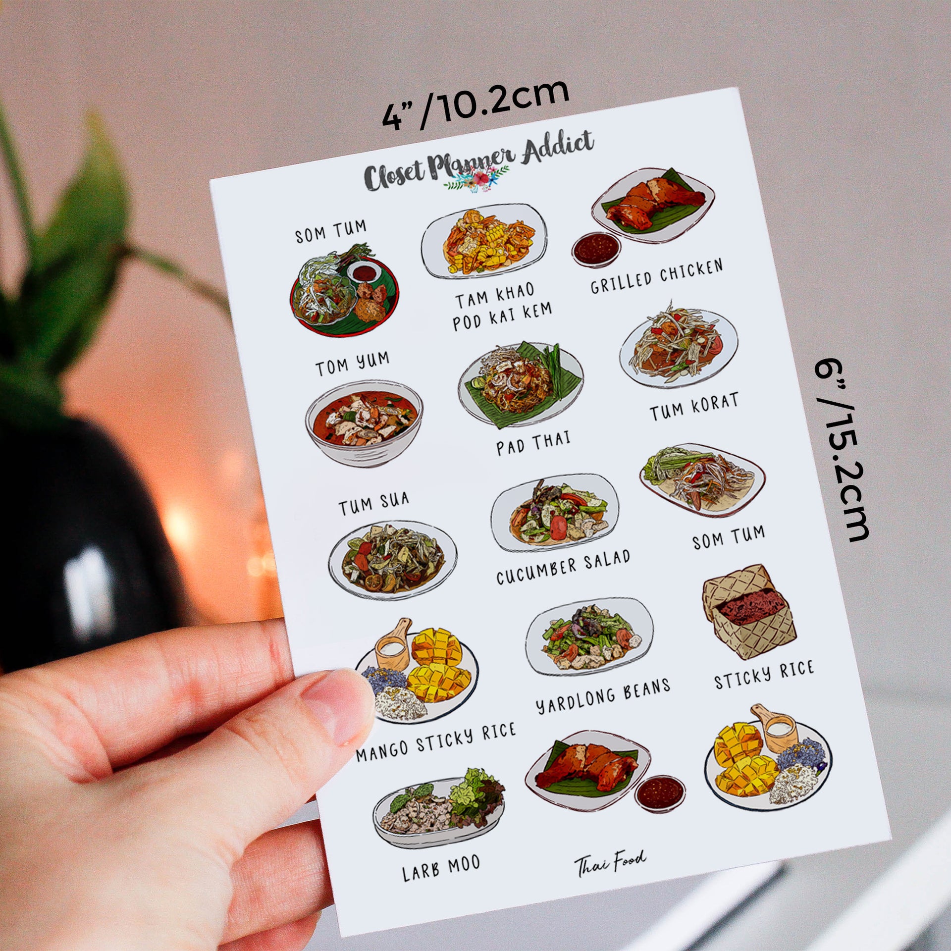 Thai Food Planner Stickers (S-672) – Closet Planner Addict