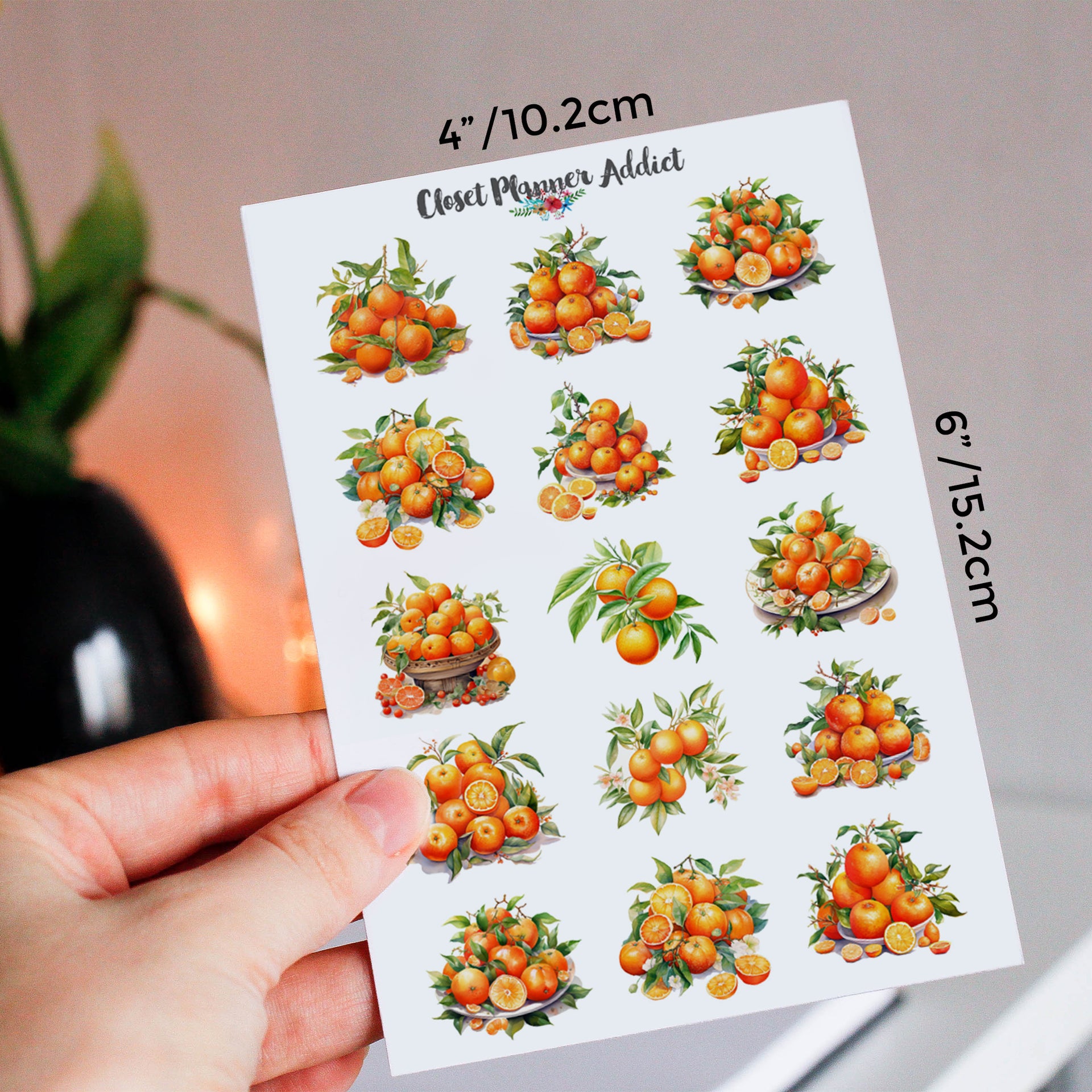 Mandarin Oranges Planner Stickers | Lunar New Year Stickers (S-709 ...